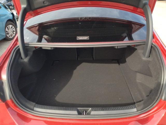 MERCEDES BENZ | A Class Sedan | No.1305482 | Submerged(fresh water)